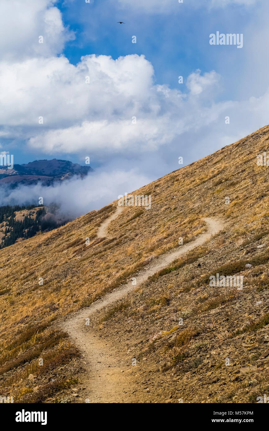 Grand Pass Trail near Obstruction Point is exposed and open ...