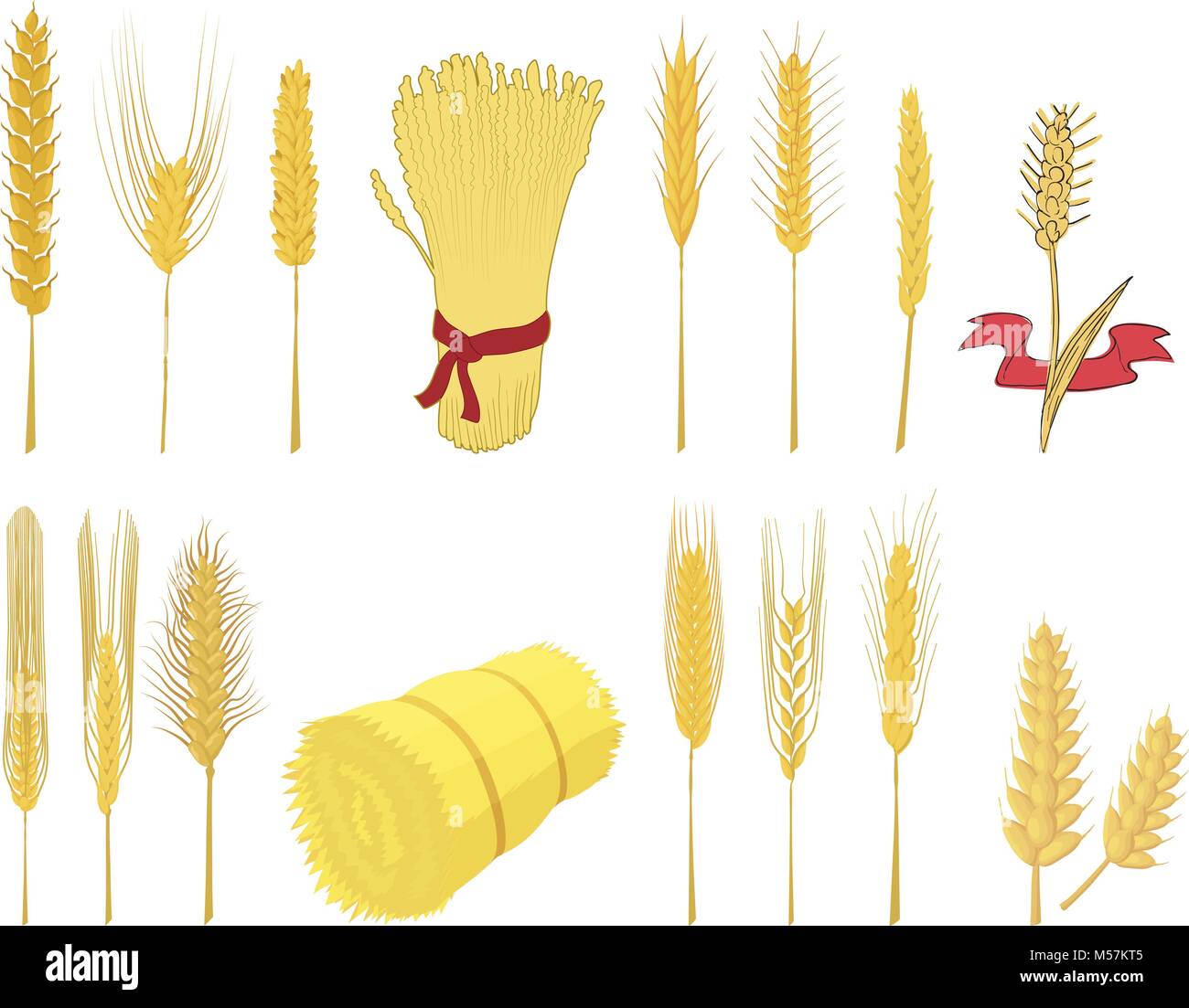Wheat icon set, cartoon style Stock Vector Image & Art - Alamy