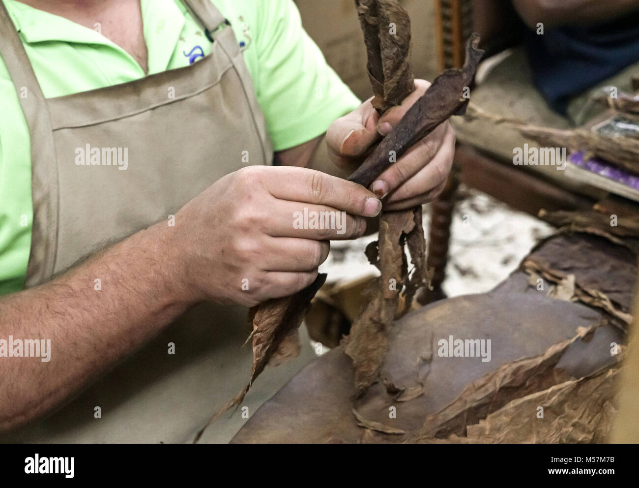 Tobacco smoking bahamas hi-res stock photography and images - Alamy