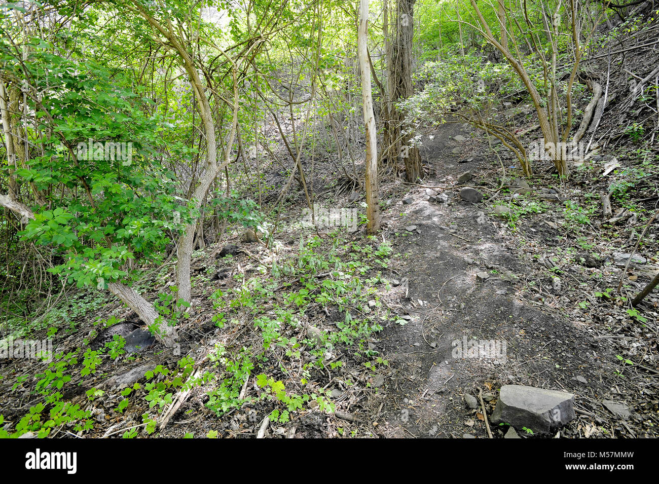 Place where the ramp with funicular railway starting (on the level of ...