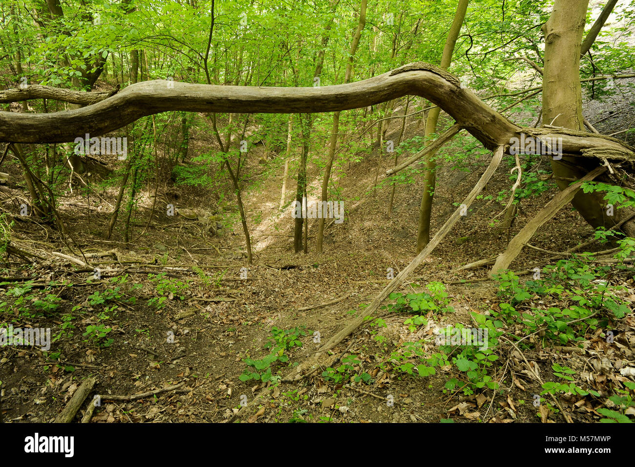 Place where the ramp with funicular railway ended (starting on the ...