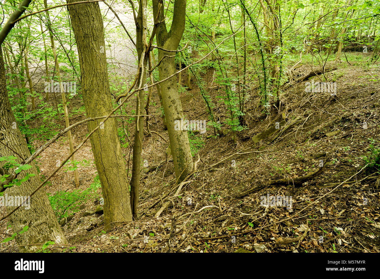 Place where the ramp with funicular railway ended (starting on the ...
