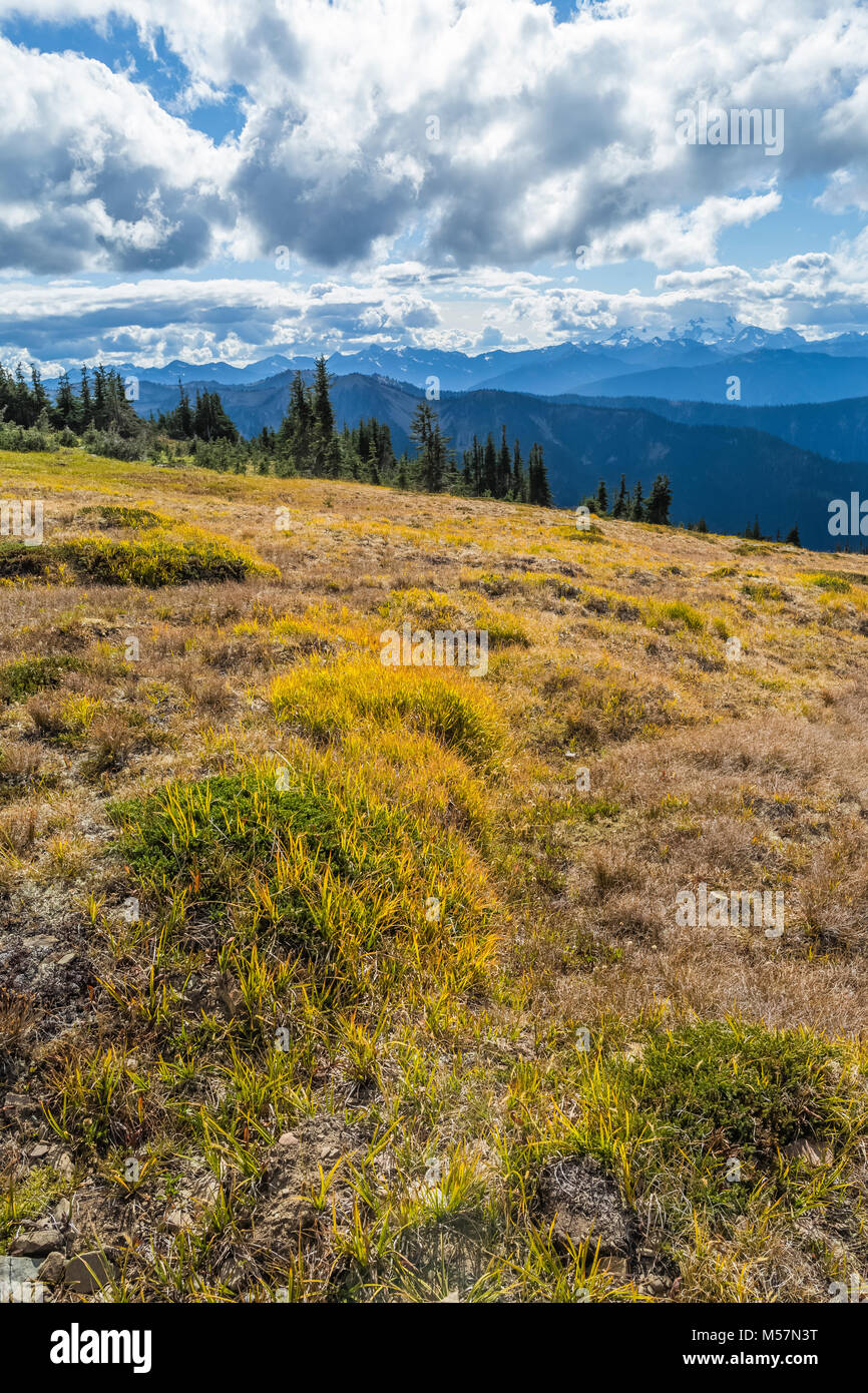 Obstruction pass state park trail hi-res stock photography and images ...