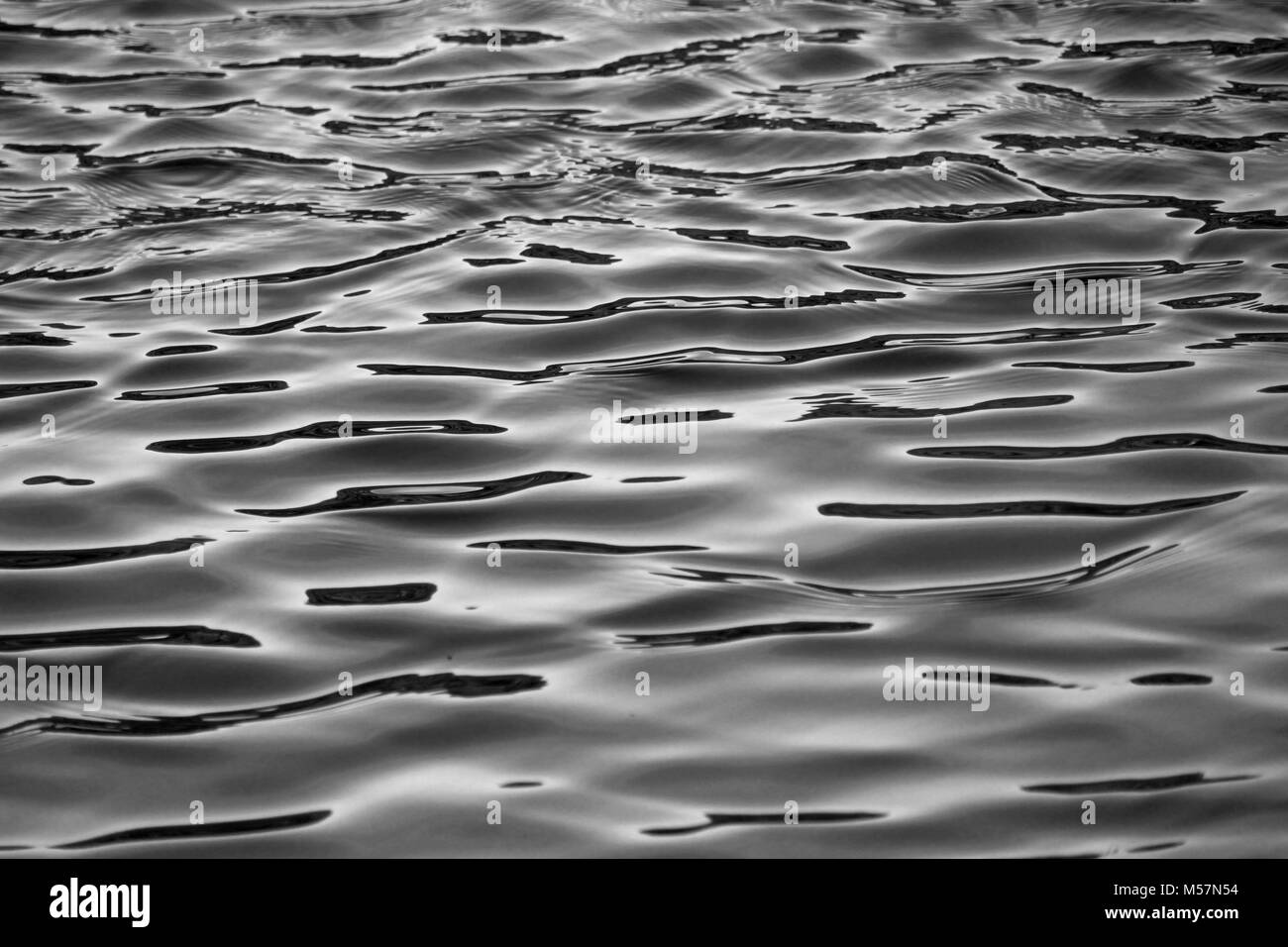 Water Ripples Black And White