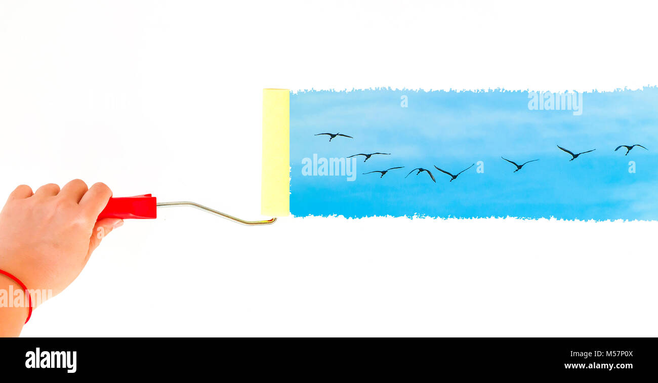 Person painting birds flying on the sky on a white wall with a roller ...