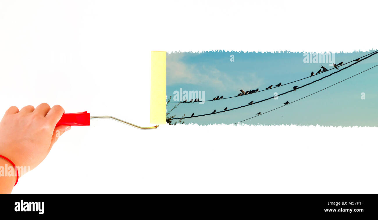 person painting cables with swallows perching on a white wall with a ...