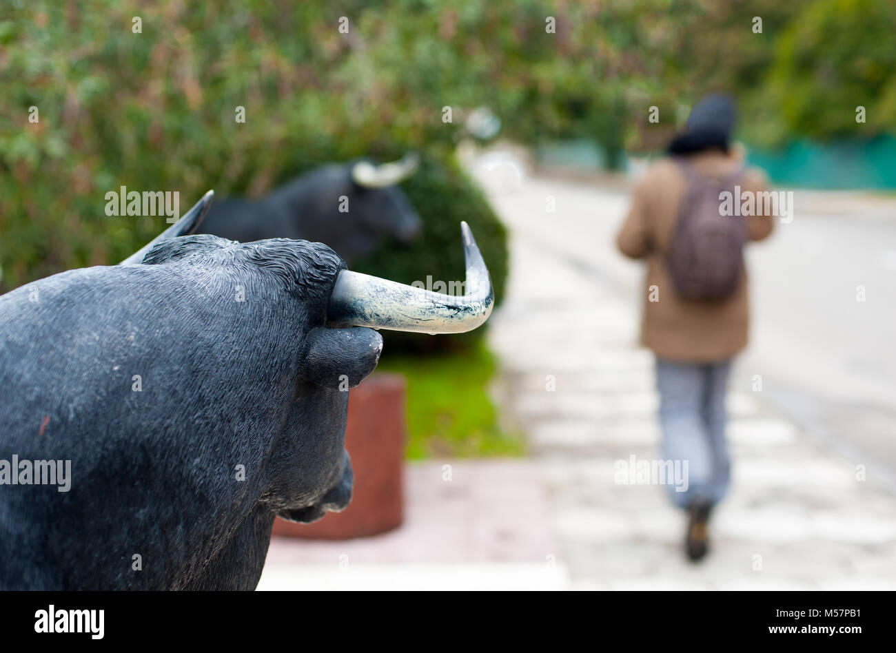 Statue of the bull, look towards the passing man Stock Photo - Alamy