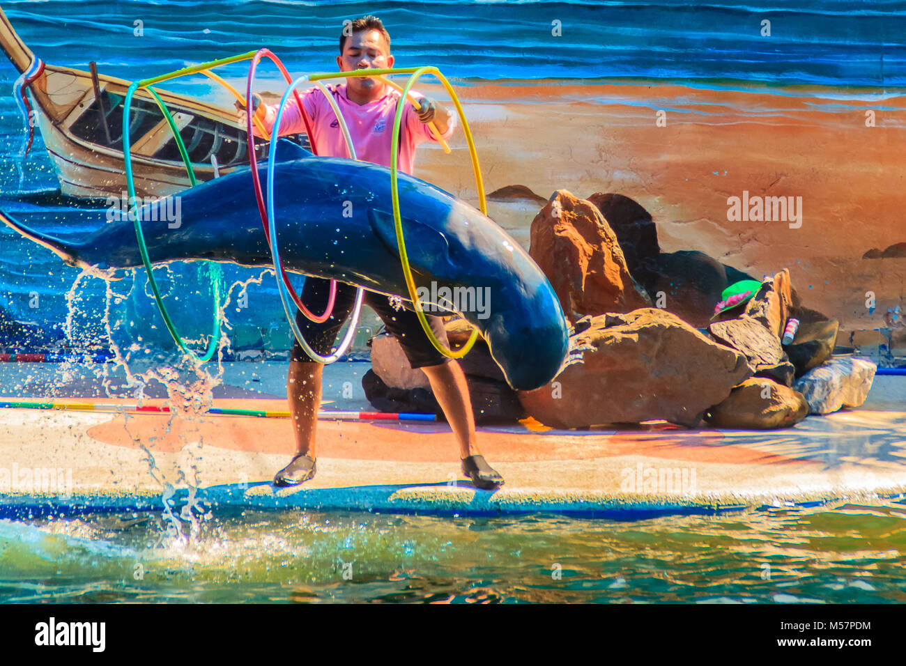 Chanthaburi, Thailand - May 5, 2015: Trainer is teaching dolphin to ...