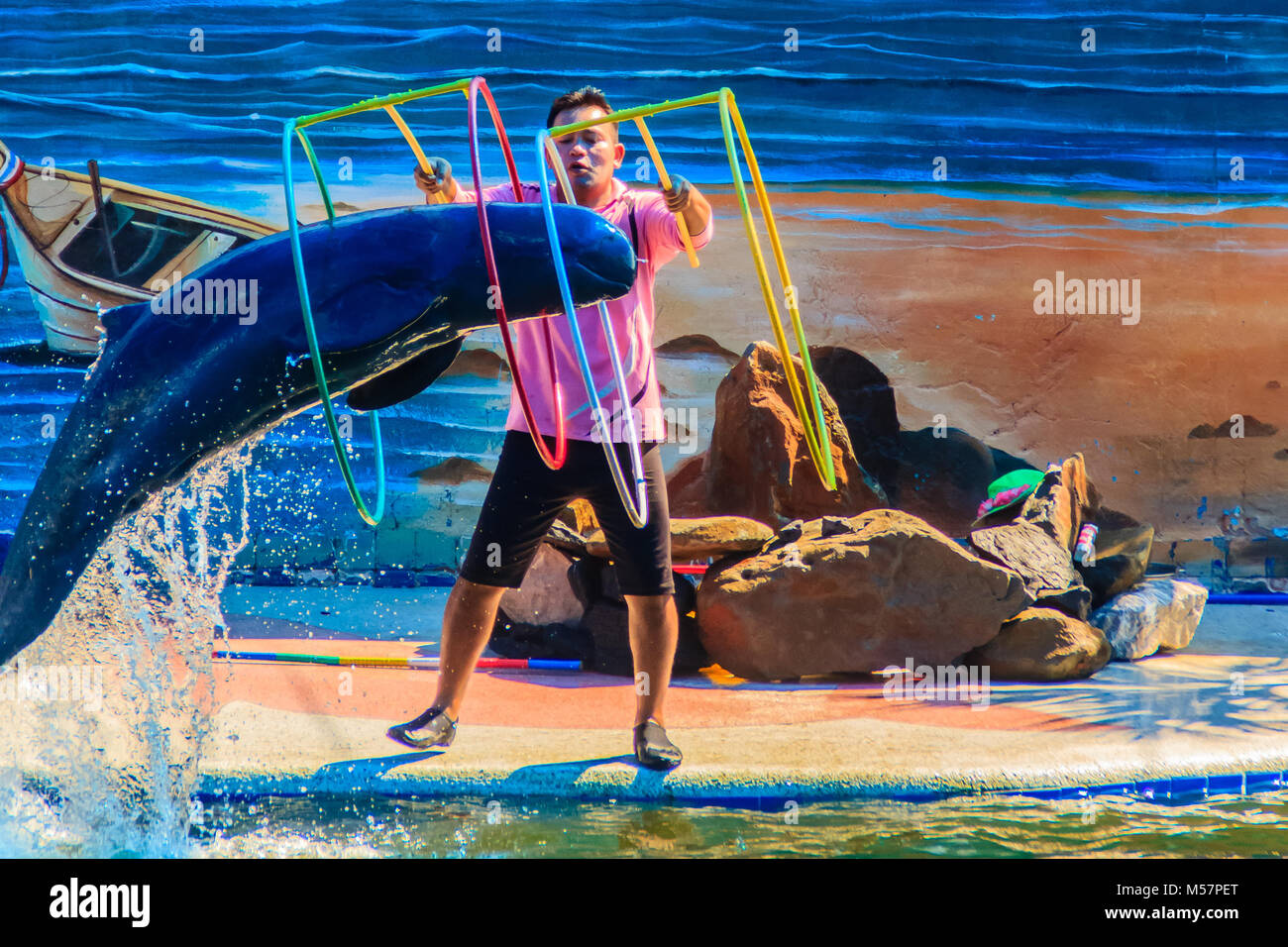 Chanthaburi, Thailand - May 5, 2015: Trainer is teaching dolphin to ...