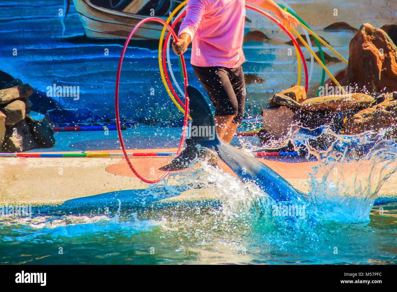 Dolphin jumping hoop hi-res stock photography and images - Alamy