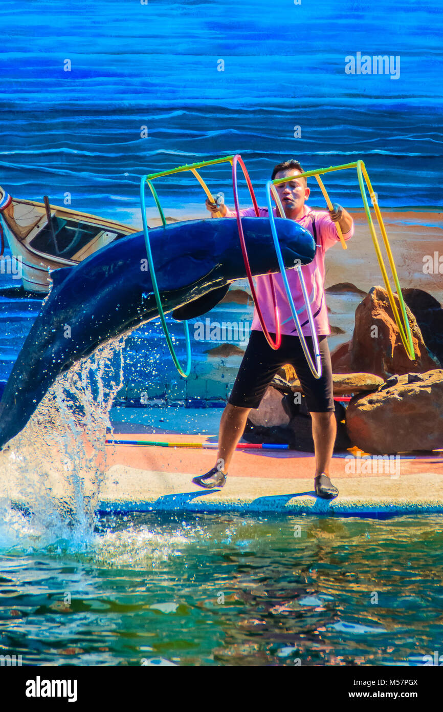 Dolphin jumping through hoop hi-res stock photography and images - Alamy