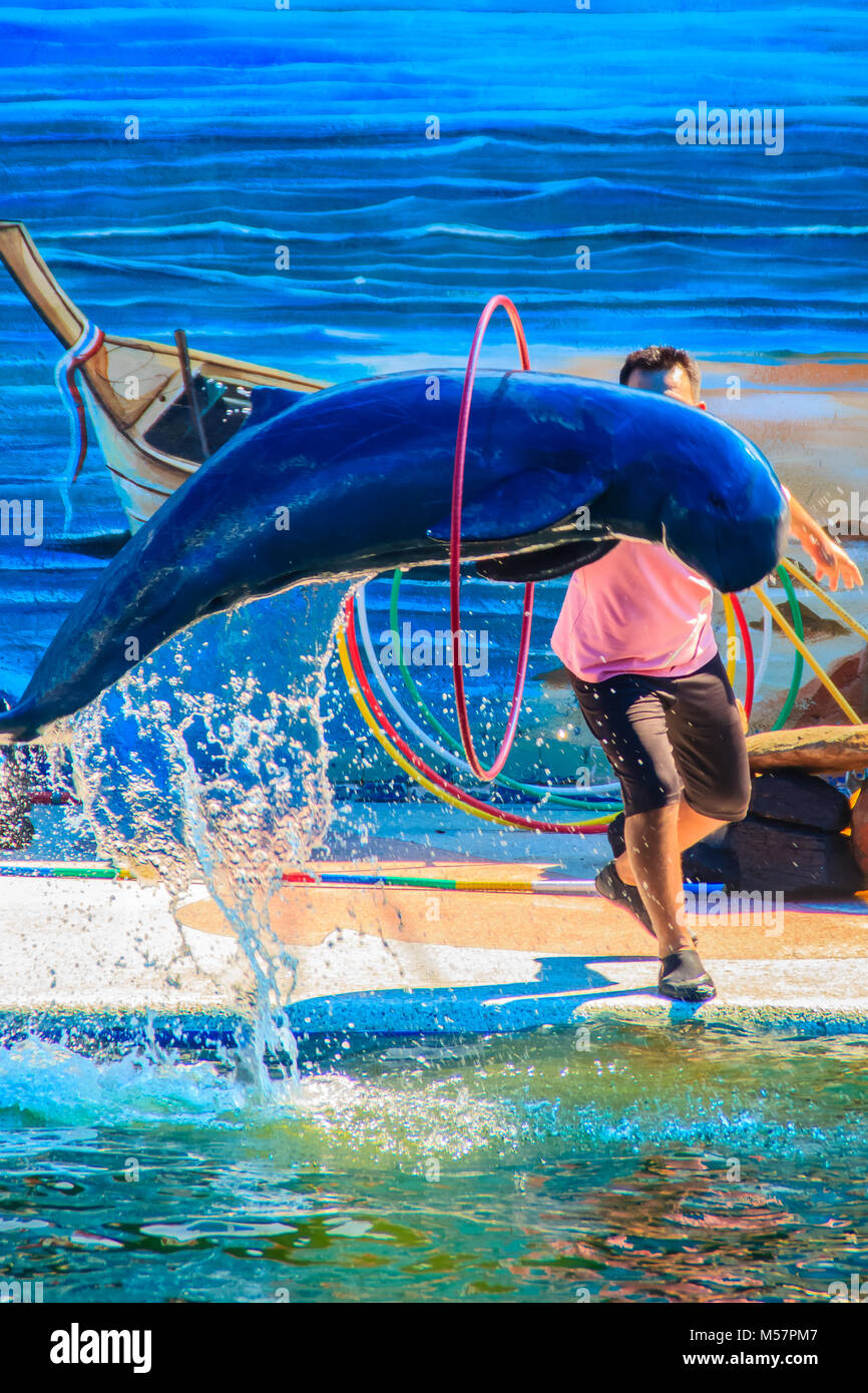 Chanthaburi, Thailand - May 5, 2015: Trainer is teaching dolphin to ...