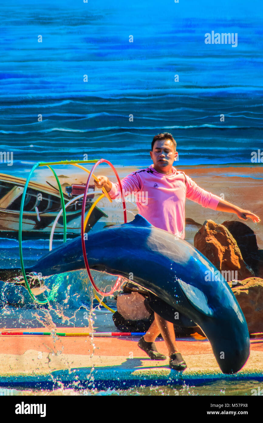 Chanthaburi, Thailand - May 5, 2015: Trainer is teaching dolphin to ...