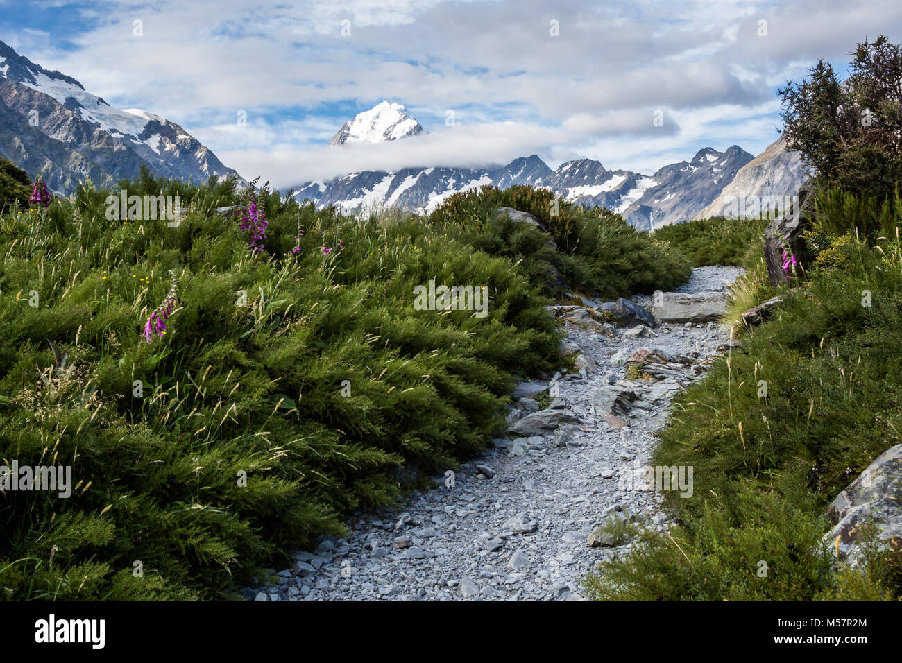 The summit of Mount Cook towers above the clouds in the distance, while ...