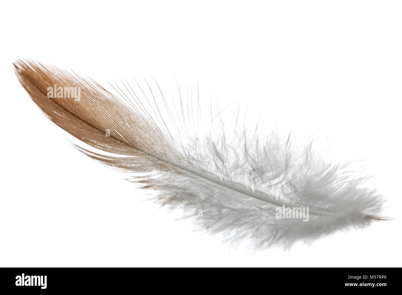 Smooth gentle abstract background soft Cut Out Stock Images & Pictures ...