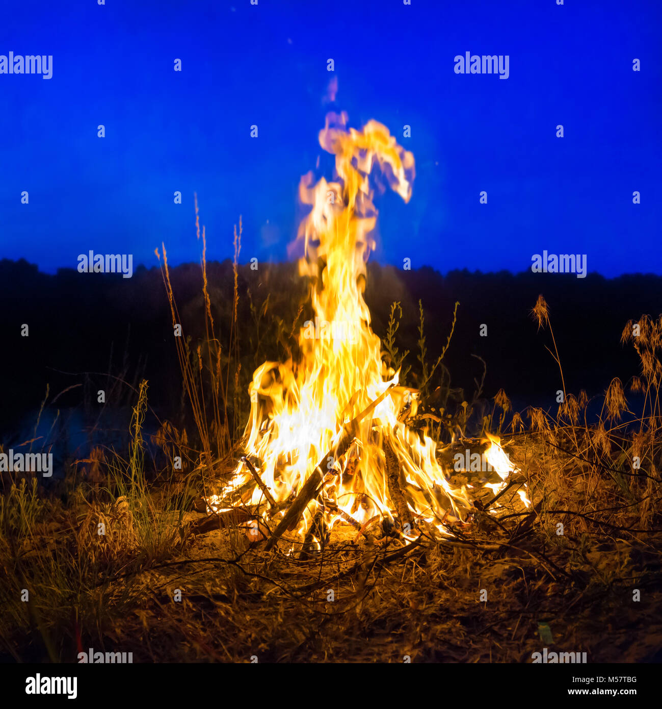 Big fire in forest night hi-res stock photography and images - Alamy