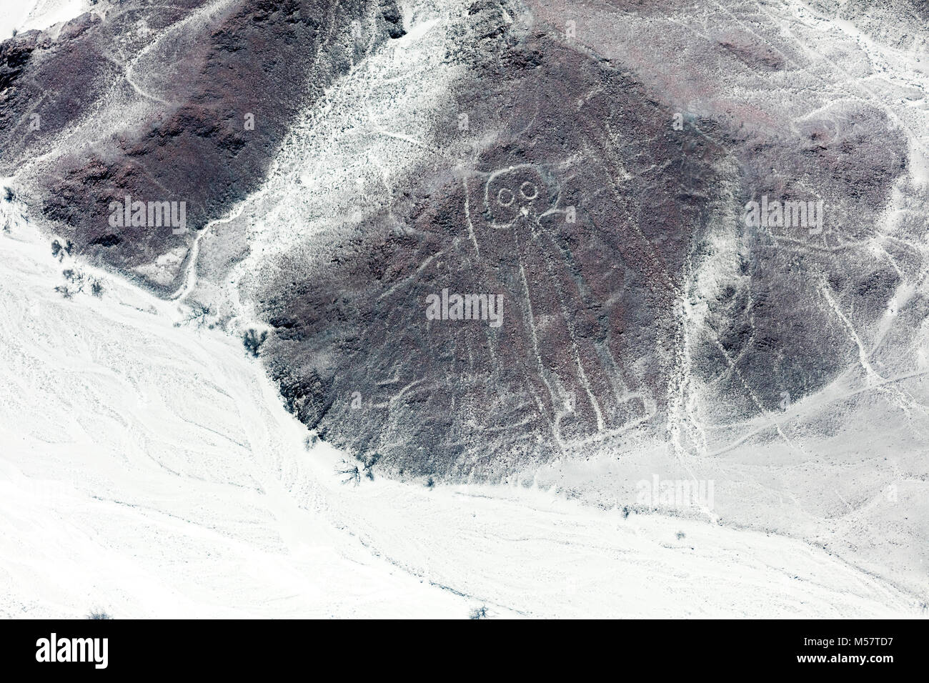 Nazca lines from the aircraft Stock Photo - Alamy