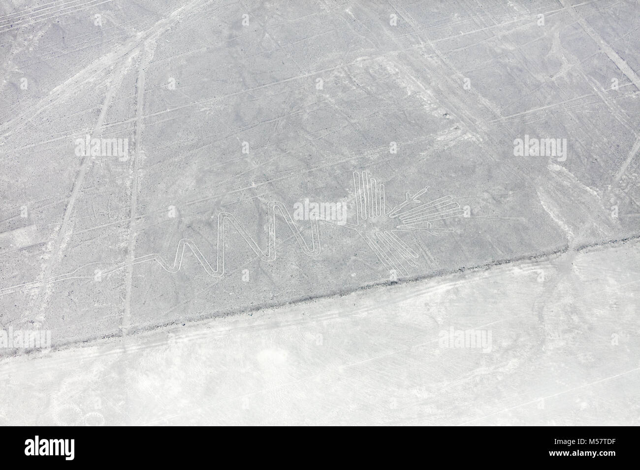 Nazca lines from the aircraft Stock Photo - Alamy