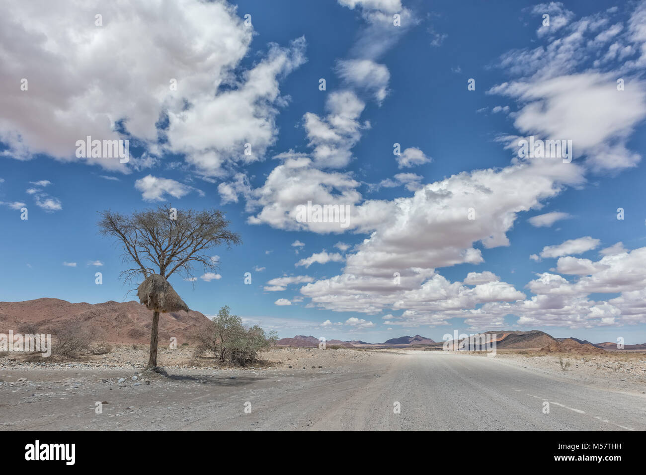 gravel road in the desert of Namibia Stock Photo - Alamy