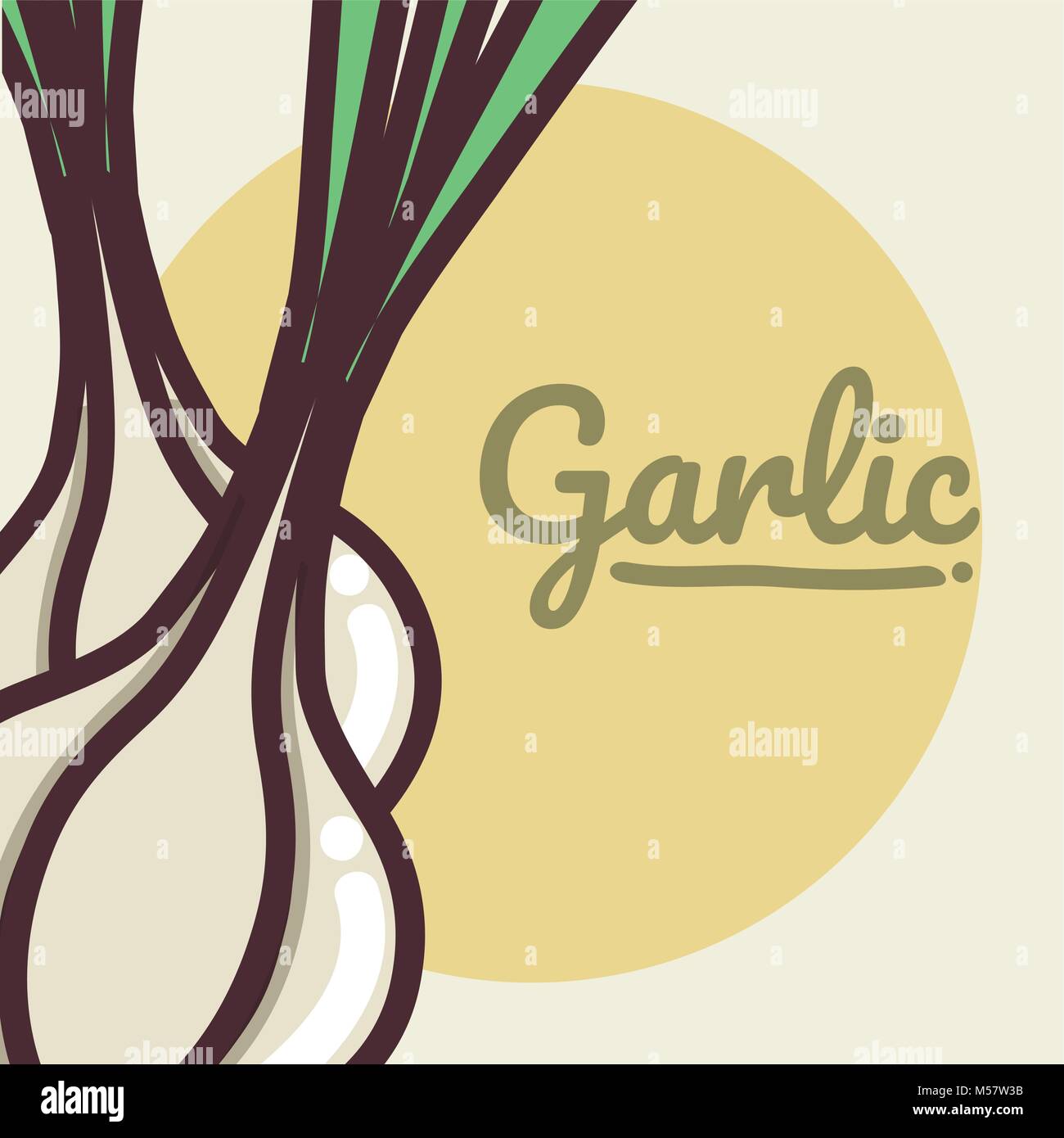 Garlic vegetable cartoon Stock Vector Image & Art - Alamy