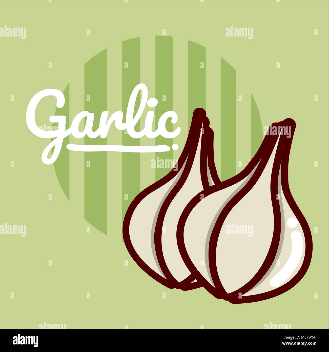 Garlic vegetable cartoon Stock Vector Image & Art - Alamy