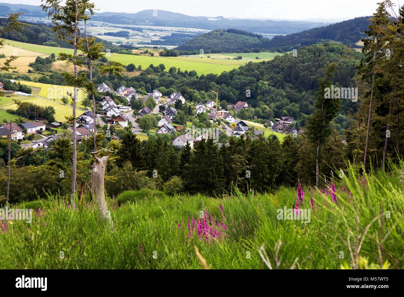 A view over a field in Germany Stock Photo - Alamy