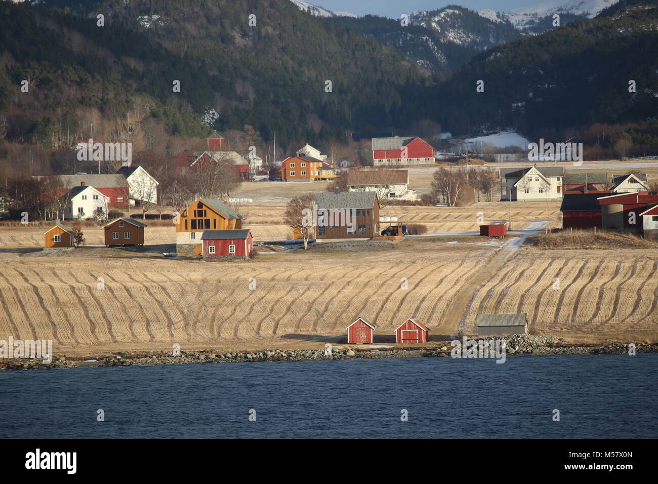 Norwegian agricultural landscape showing farmhouses and rows of ...