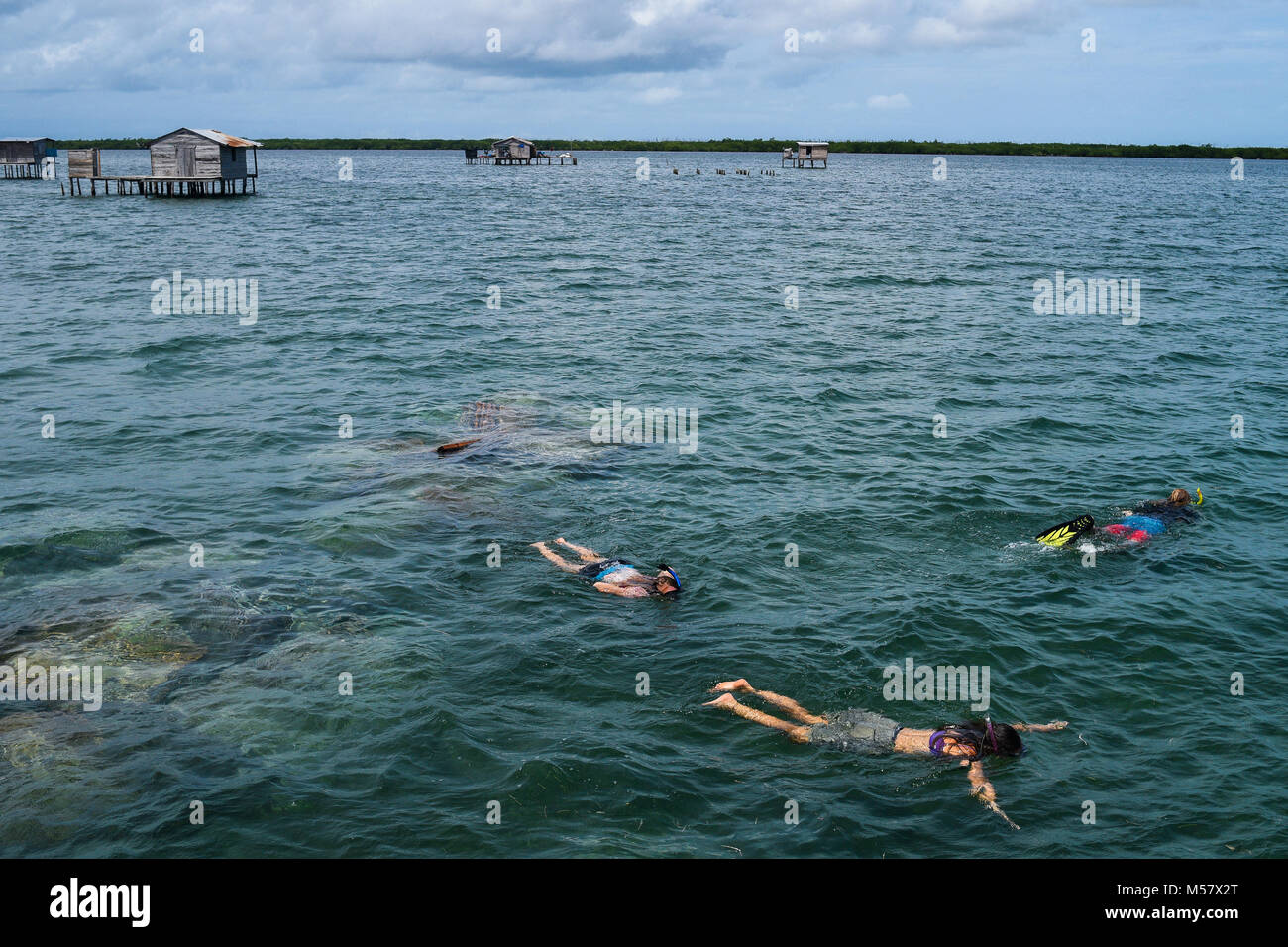 Miskito Stock Photos & Miskito Stock Images - Alamy