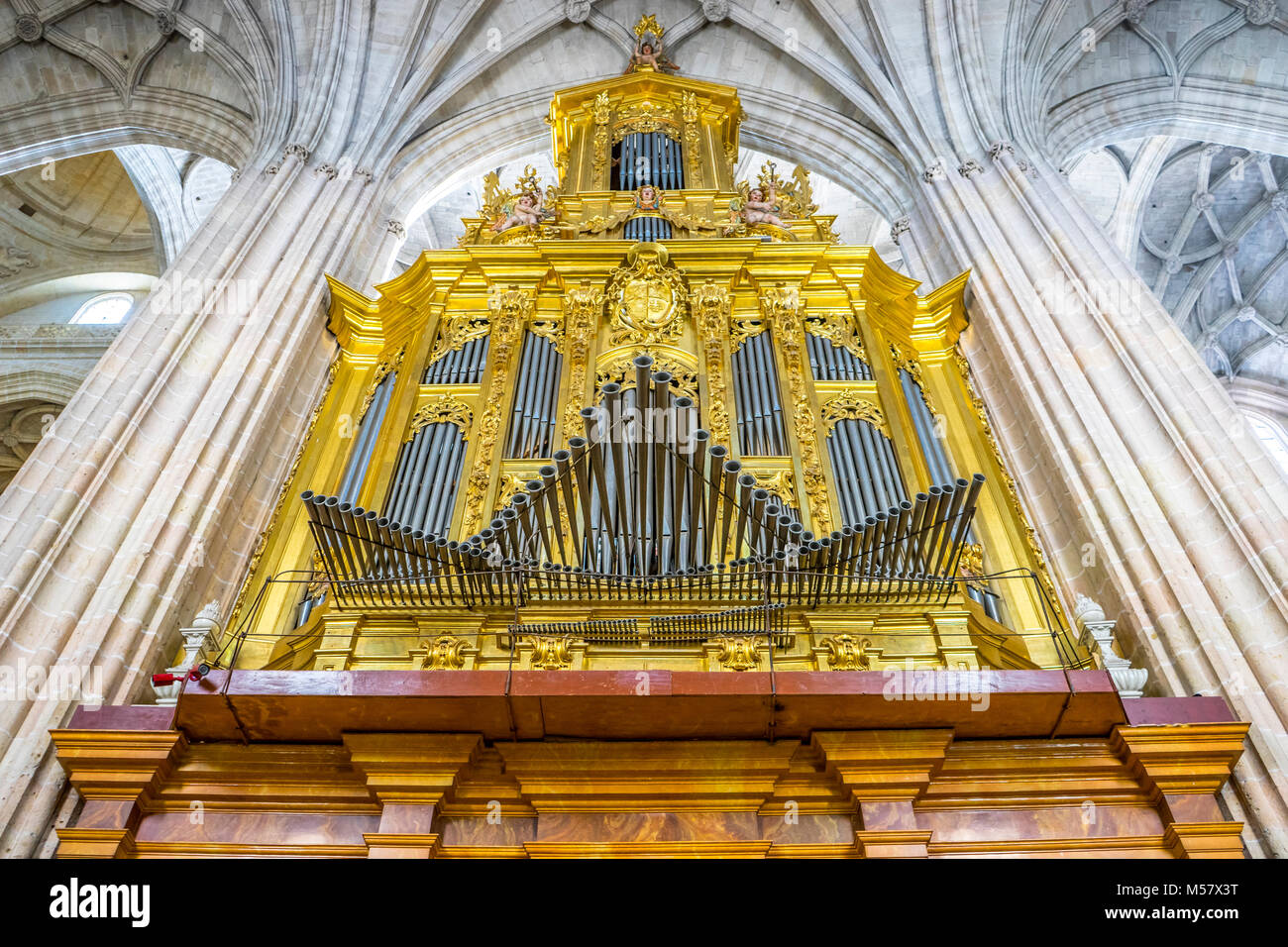 Gothic Cathedral of Segovia, monumental pipe organ Stock Photo - Alamy