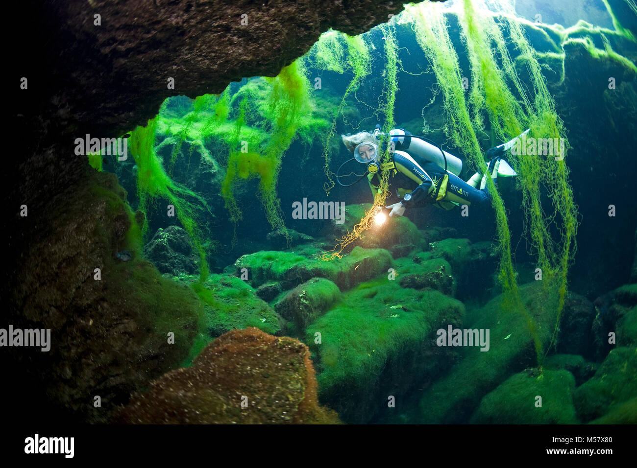 Cave diver at entrance to cenote El Eden, algae covers the rocks ...