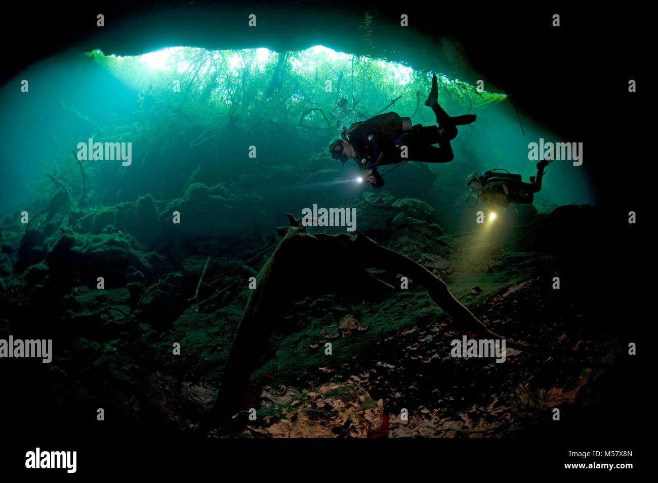 Cave diver at mouth of cave El Eden, Cenotes, Tulum, Yucatan, Quintana ...