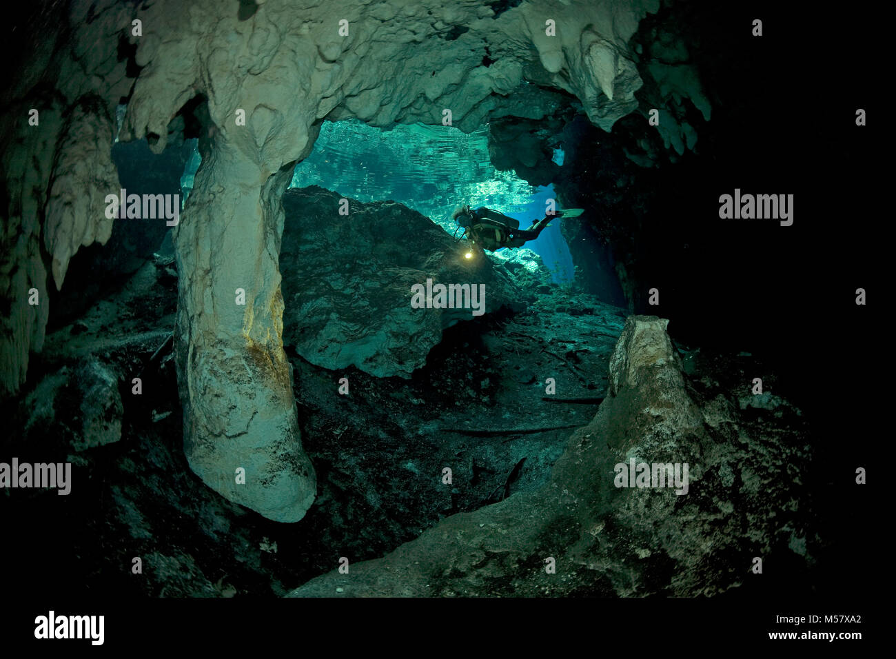Cave diver inside the cenote Grand Cenote, Cenotes, Tulum, Yucatan ...