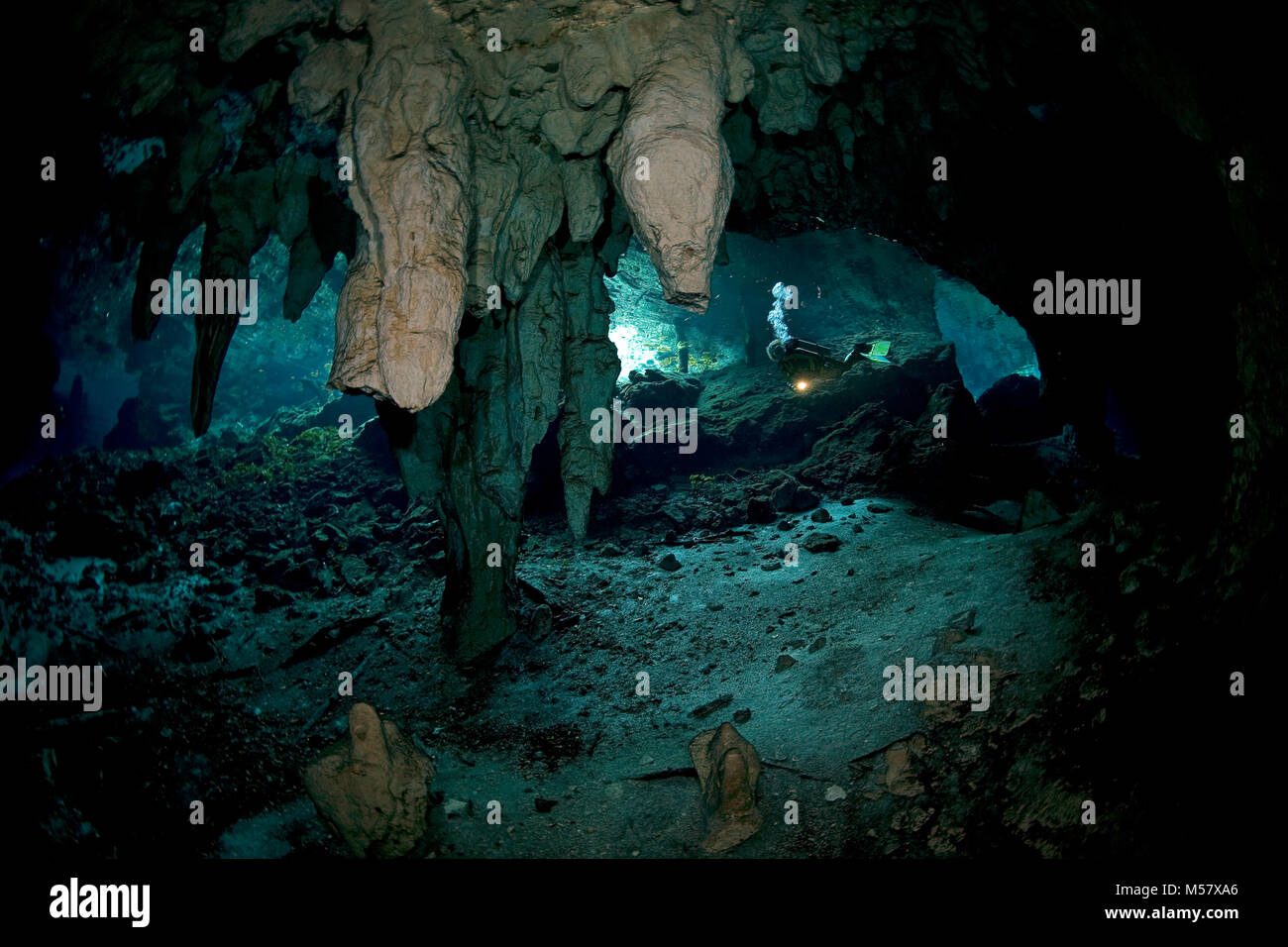 Cave diver inside the cenote Grand Cenote, Cenotes, Tulum, Yucatan ...