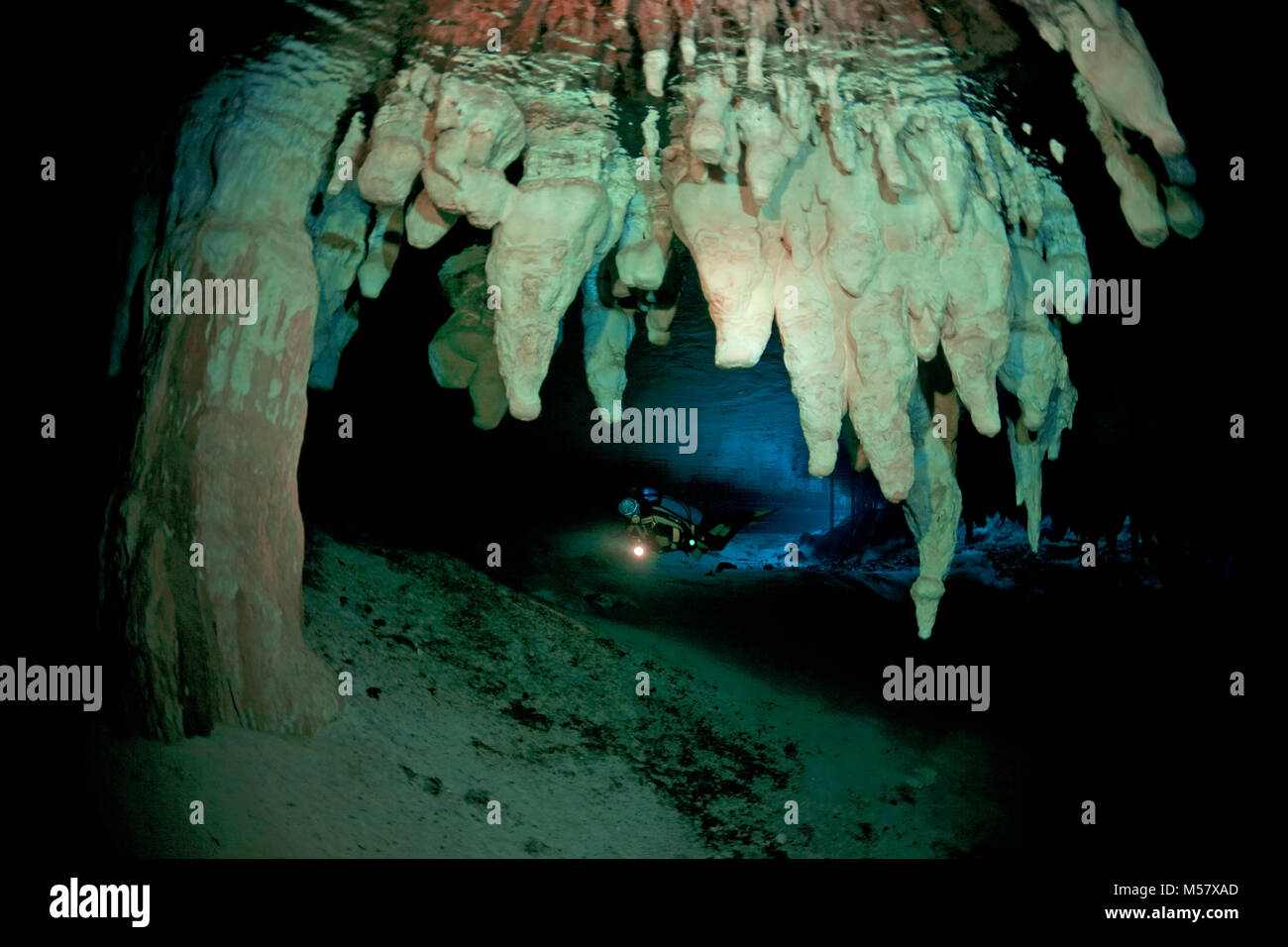 Cave diver inside the cenote Grand Cenote, Cenotes, Tulum, Yucatan ...