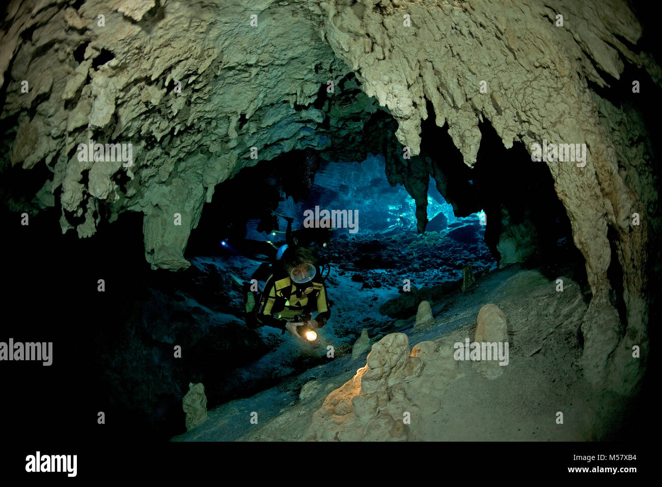 Cave diver inside the cenote Grand Cenote, Cenotes, Tulum, Yucatan ...