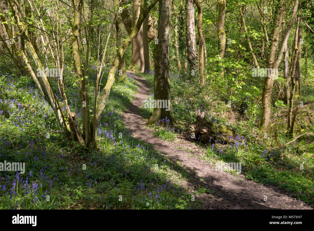 Wnglish hi-res stock photography and images - Alamy