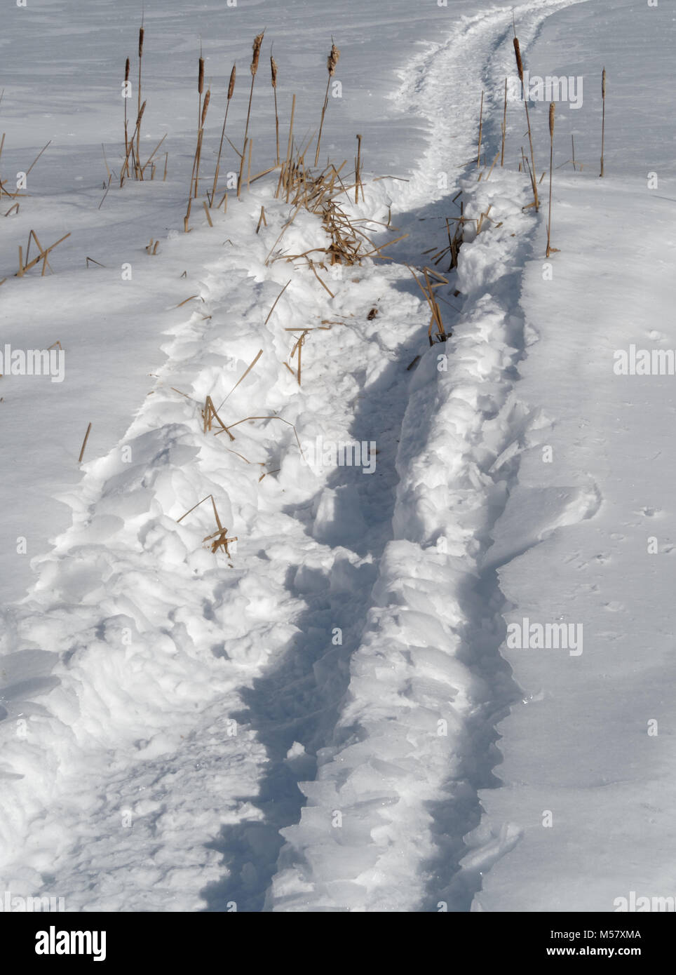 Quebec,Canada. Snowmobile trail in fresh snow Stock Photo - Alamy