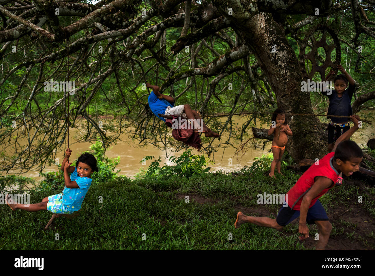 Children play on a make shift swing attached to a tree in a small ...