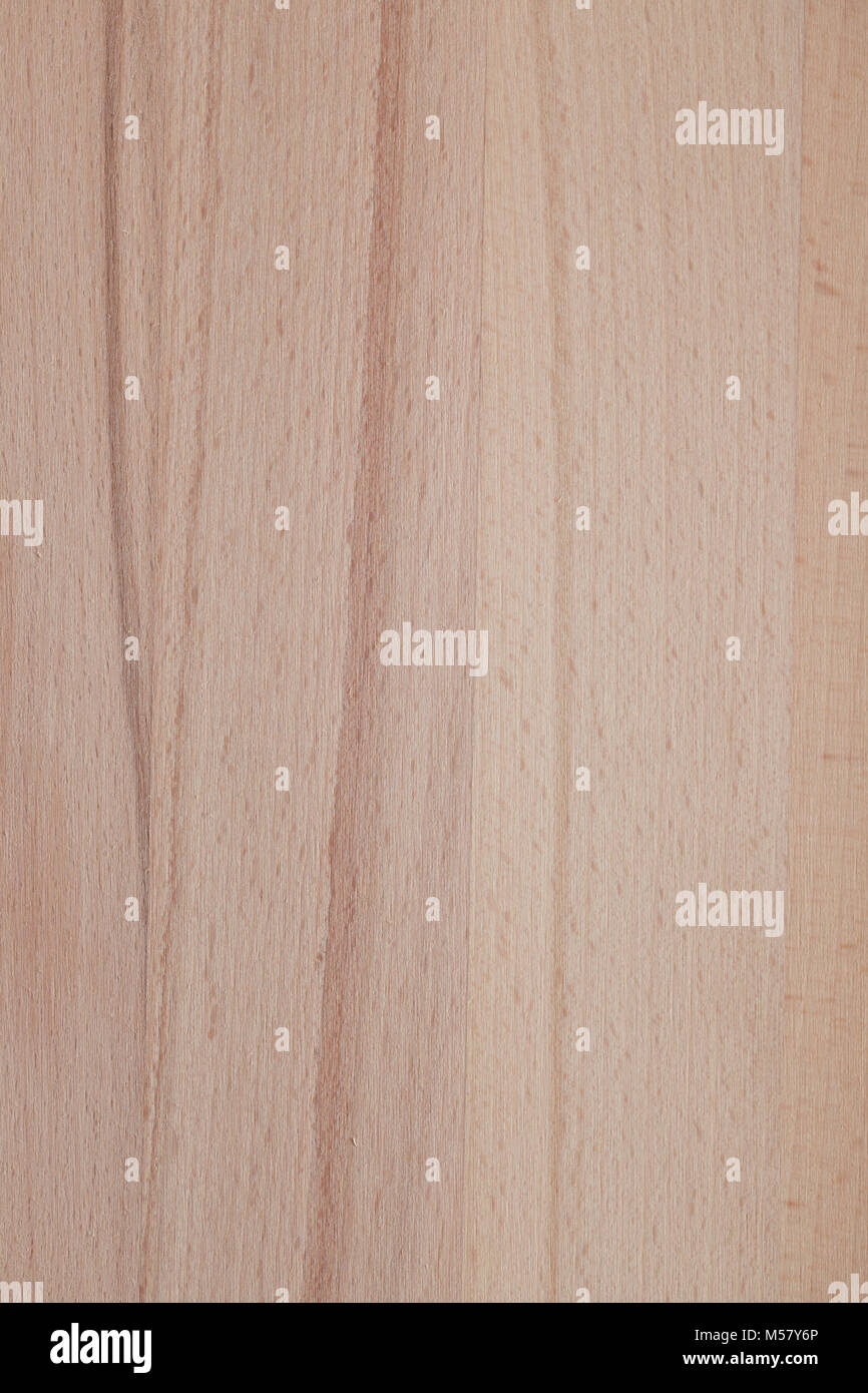 Beech wood texture Stock Photo - Alamy