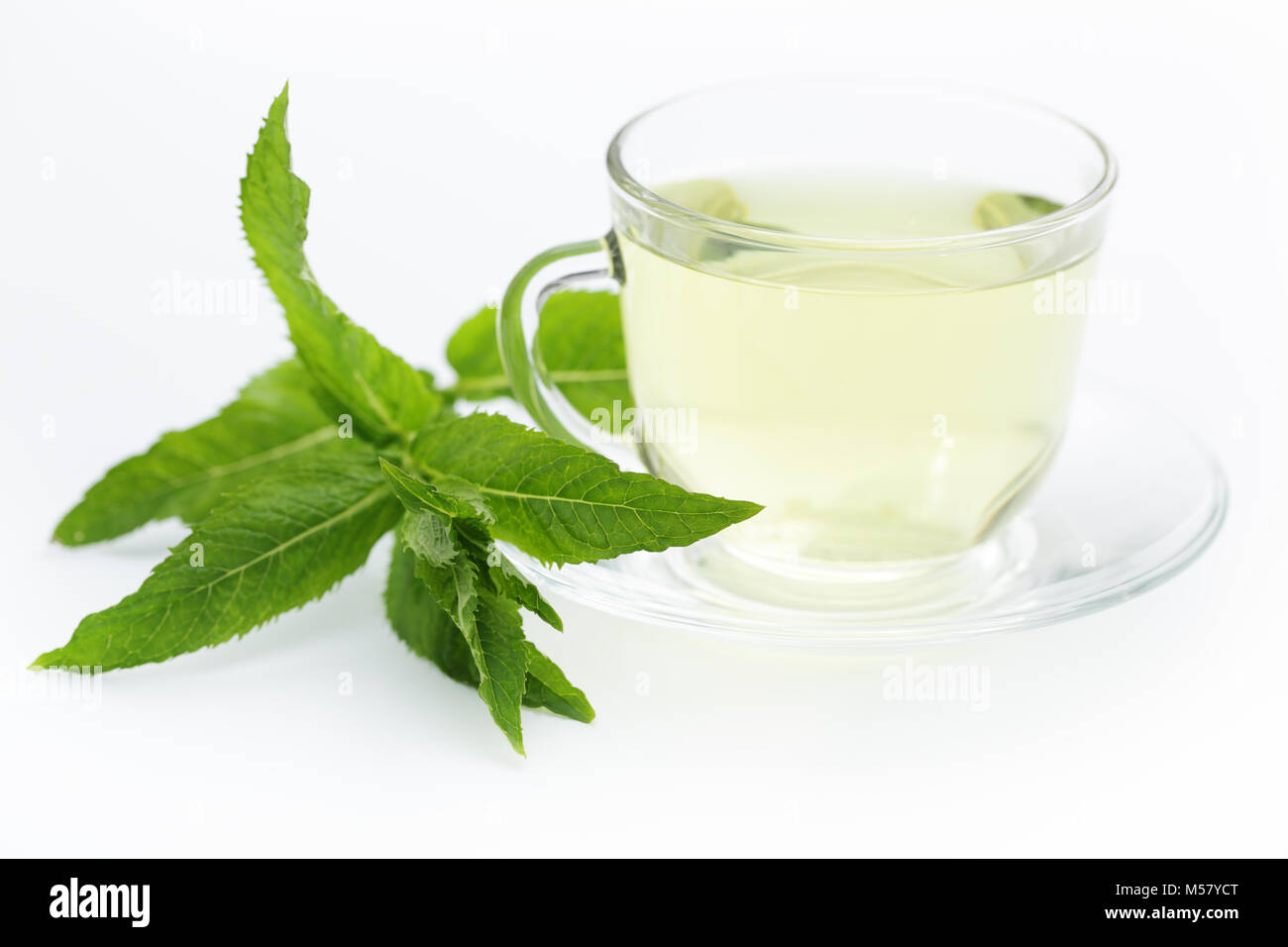 Cup with mint tea and a peppermint isolated on white Stock Photo - Alamy