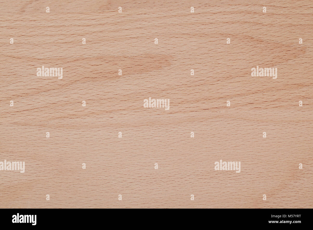 New beech wood texture Stock Photo - Alamy