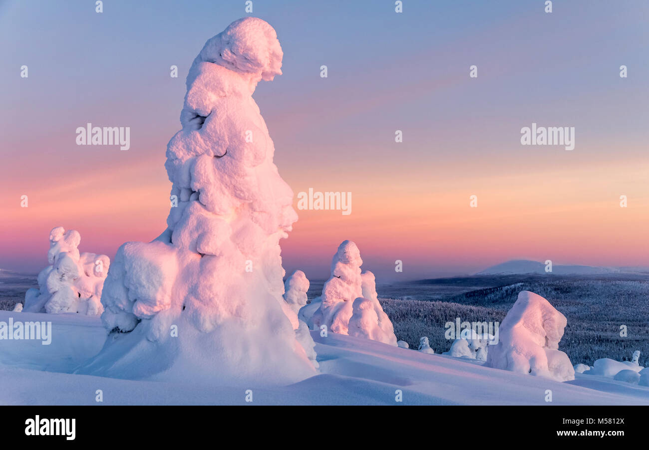 Snow trees finland hi-res stock photography and images - Alamy