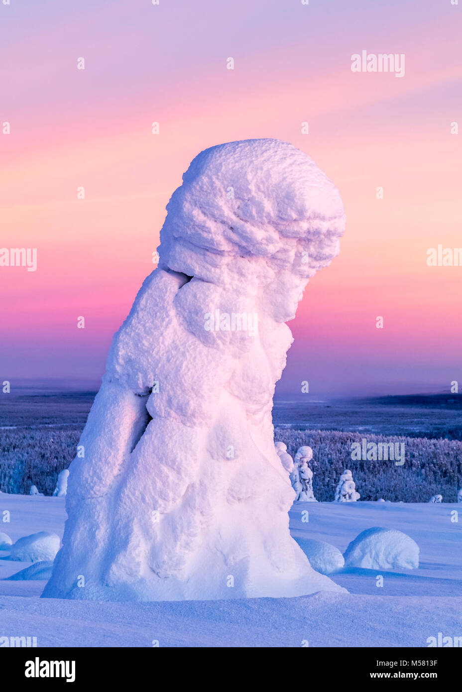 Finnish trees hi-res stock photography and images - Alamy