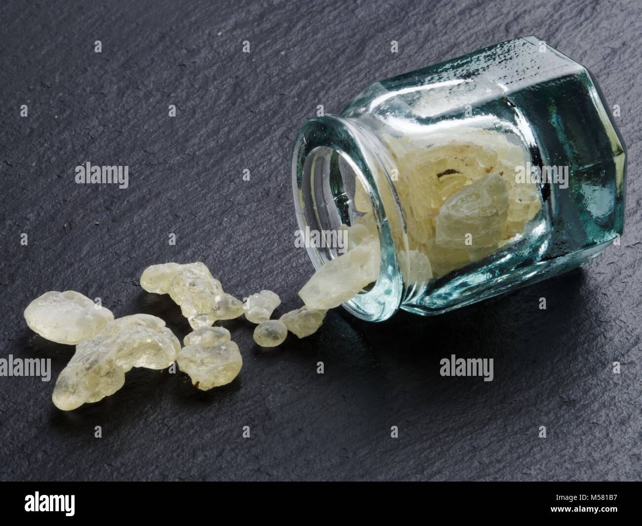 Mastic gum plant hi-res stock photography and images - Alamy