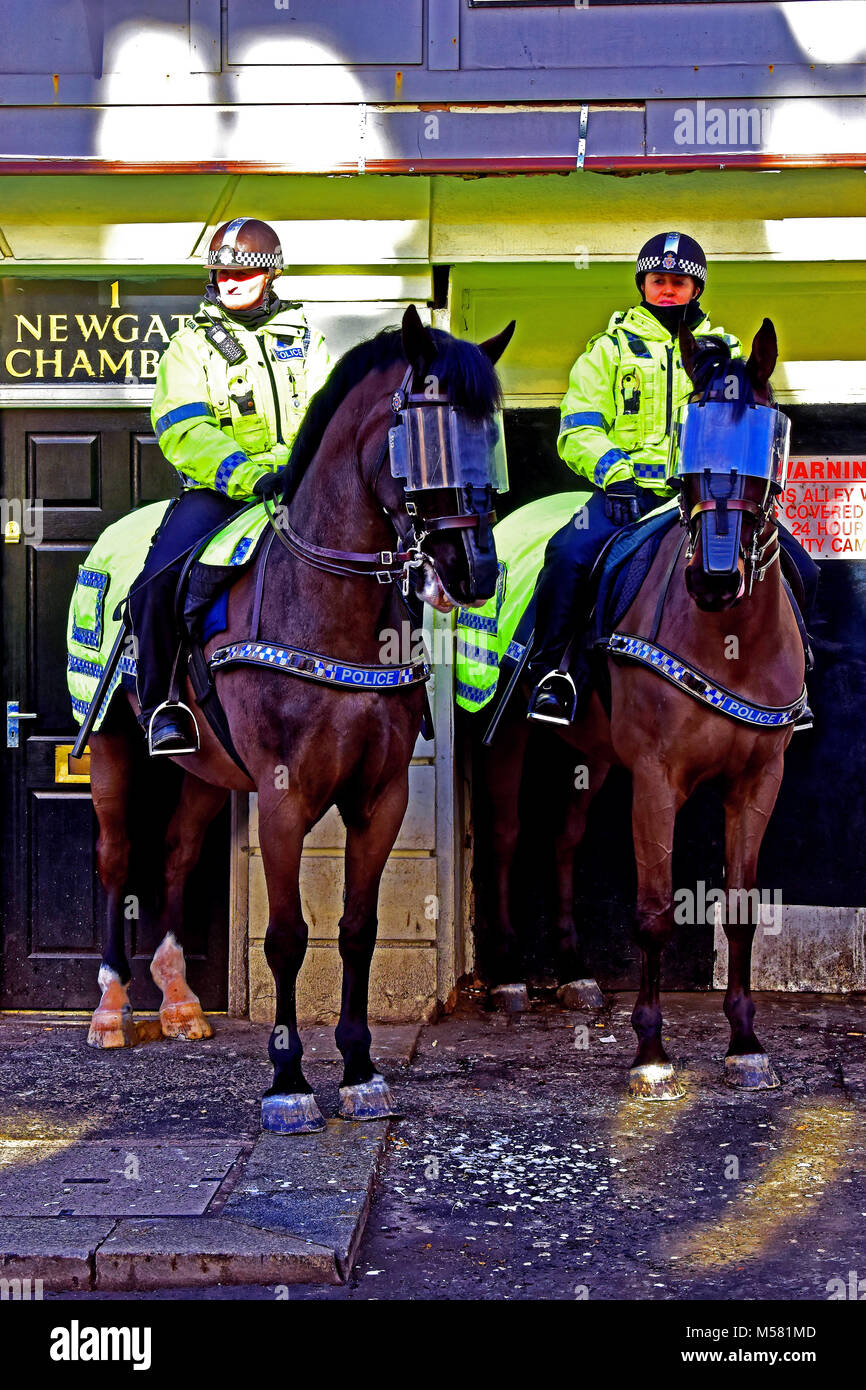 Police horses in riot gear hi-res stock photography and images - Alamy