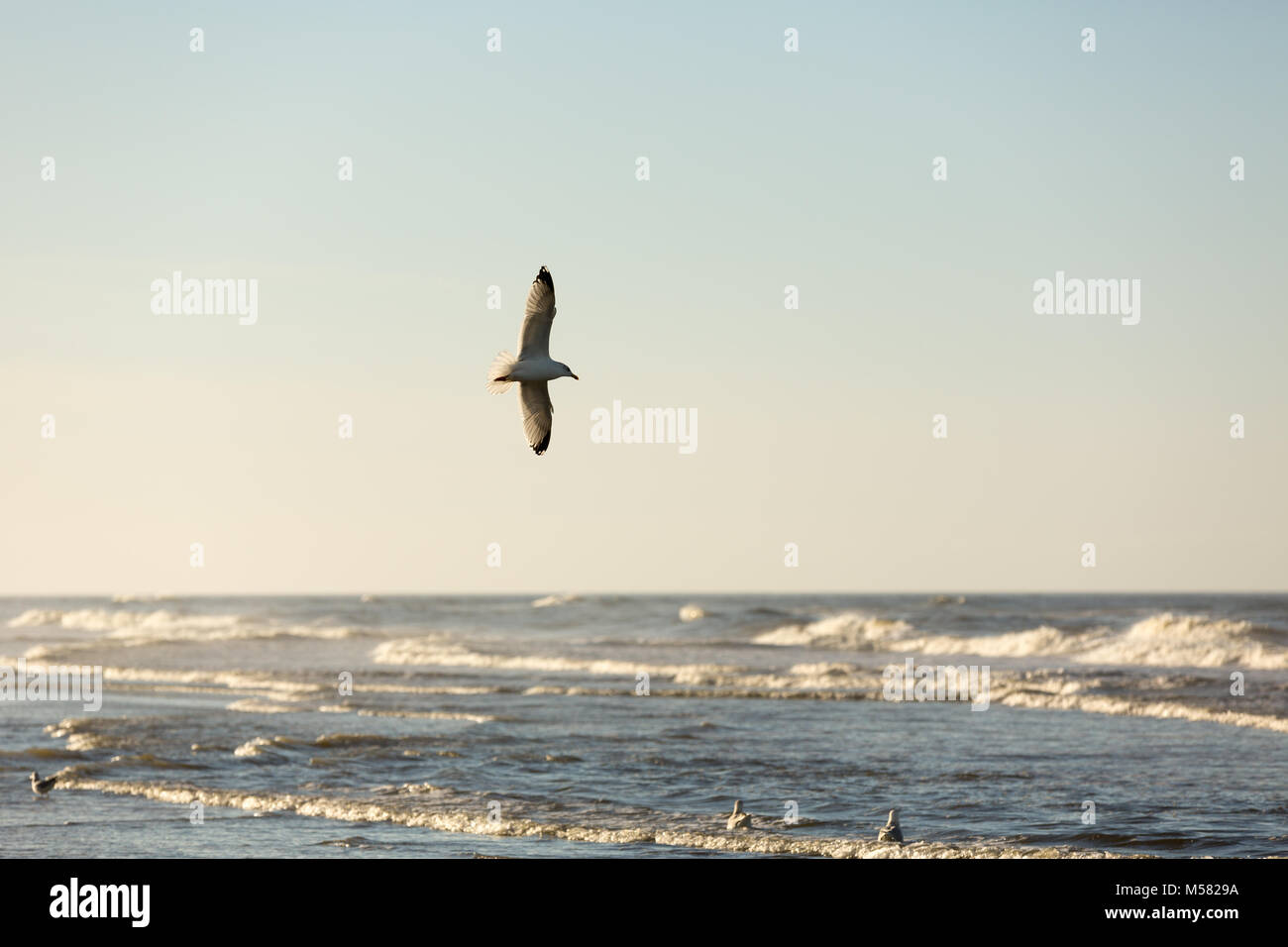 Foggy beaches hi-res stock photography and images - Alamy