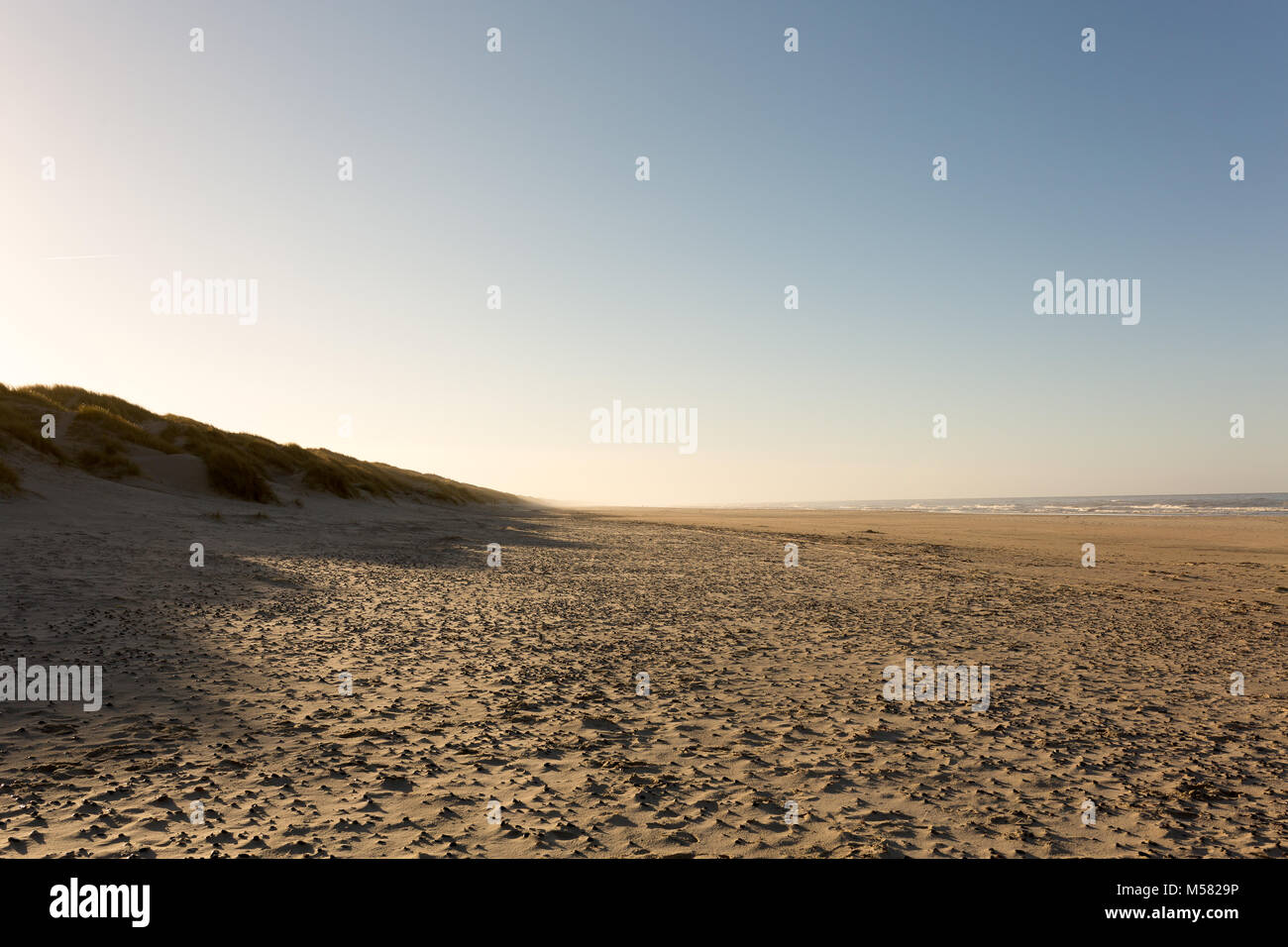 Solitude on foggy and sandy beach during sunrise Stock Photo - Alamy