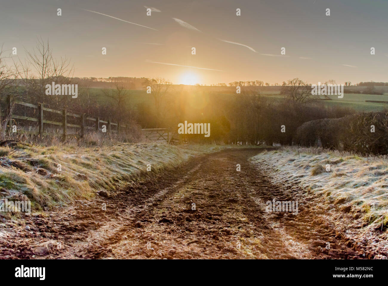 Farm track and lane hi-res stock photography and images - Alamy