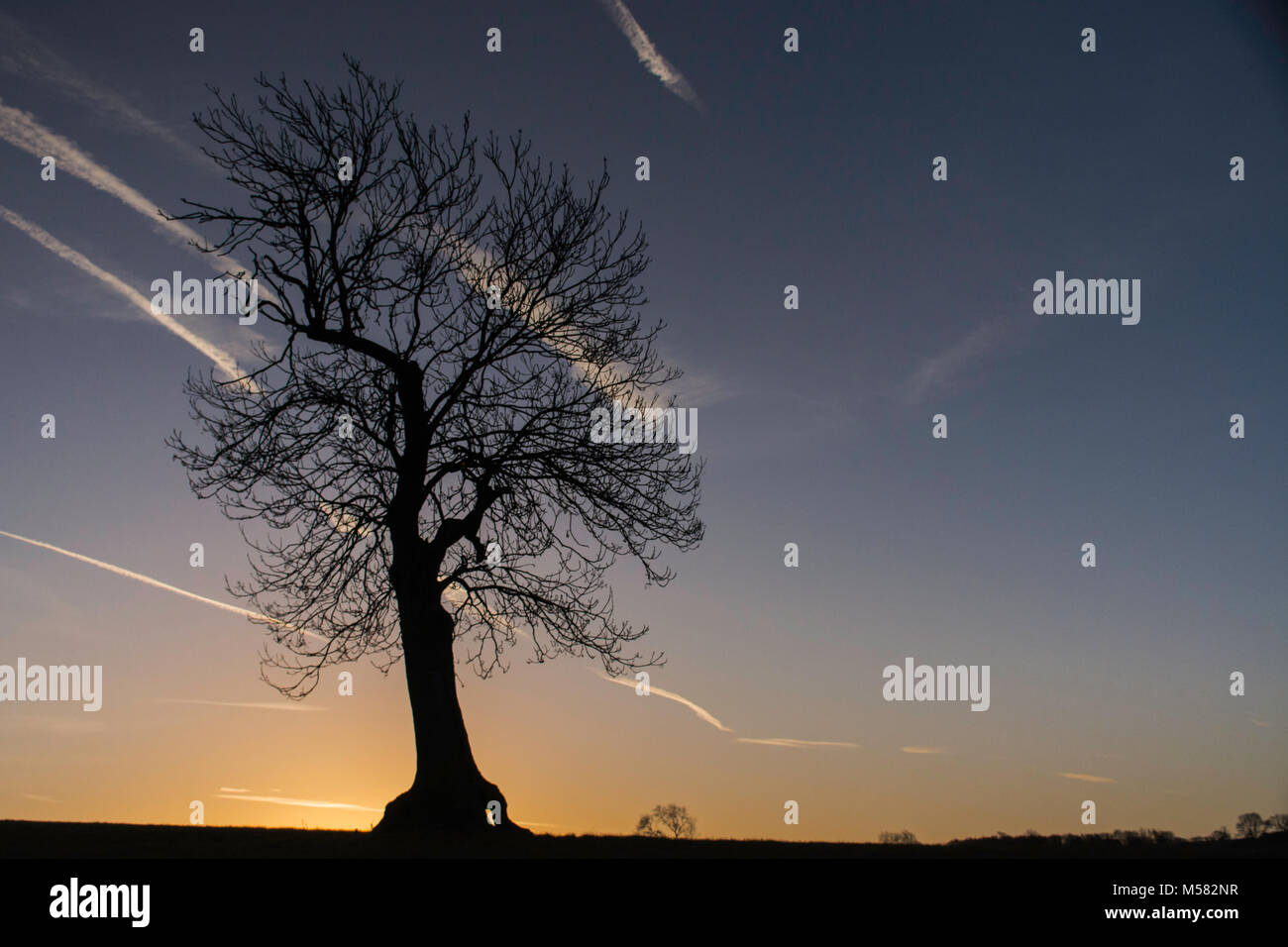 Beautiful atmospheric winter hi-res stock photography and images - Alamy