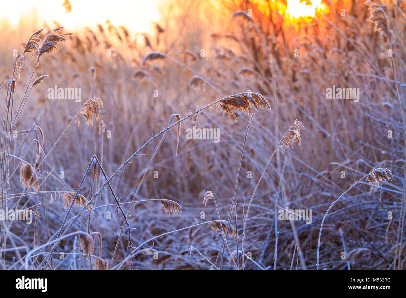 Fantastic outdoor sunrise, landscape and travel Stock Photo - Alamy